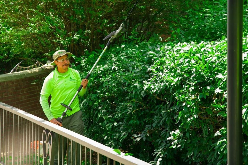 How to Remove Invasive Plants from Commercial Properties (And Prevent ...
