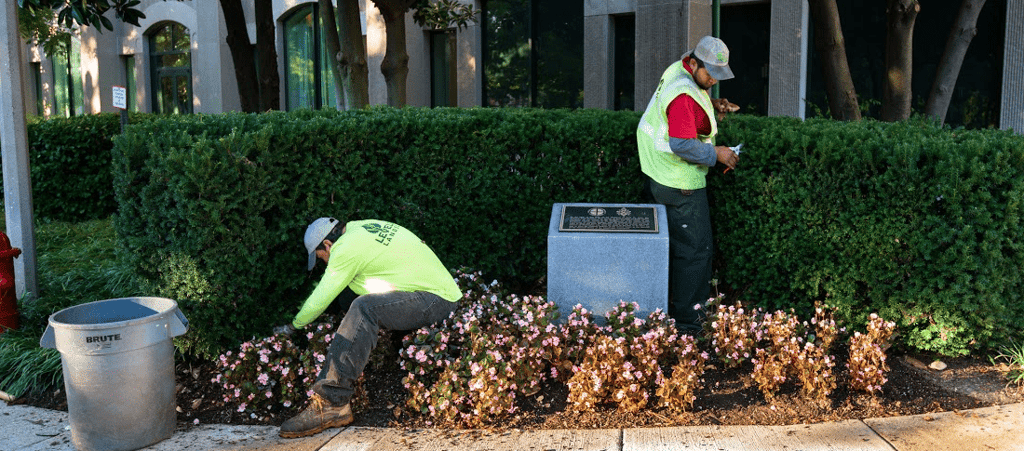 The Commercial Landscape Maintenance Checklist For Property Managers